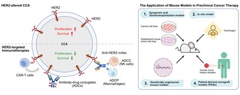 Tech Science Press Publisher Of Open Access Journals