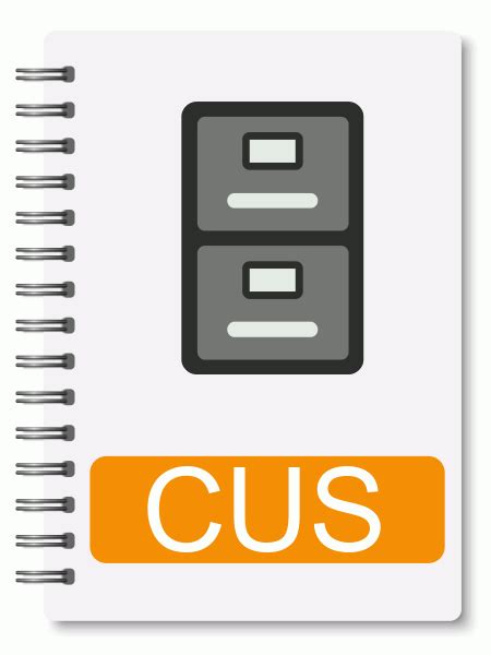 如何逐步处理cus 文件