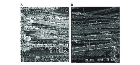Sem Image Of A Epoxy10 Fiberglass And B Epoxy15 Fiberglass