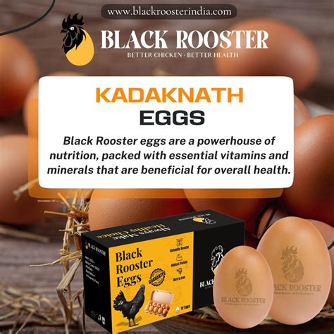 Kadaknath Eggs Blackroosterindia Health Kadaknatheggs Black Rooster