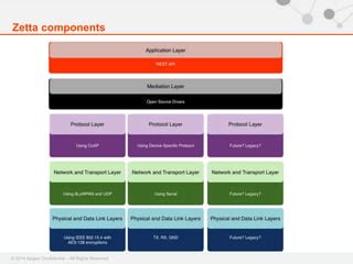 Zetta An API First Platform PPTX