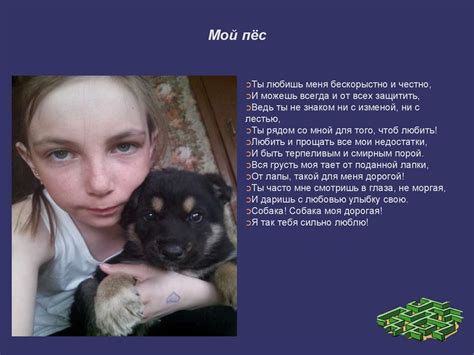 Мои любимые питомцы презентация онлайн