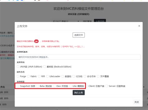 Mod的测试版与正式版 哔哩哔哩