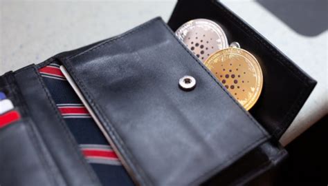Cardano Komt Met Lace Een Nieuwe Light Wallet Cardano Feed