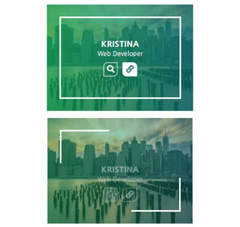 Hover Effect Style 435