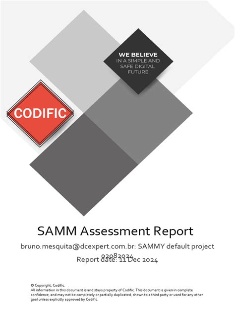 Assessment Report Sammy Default Project 020 Samm Pdf Performance Indicator
