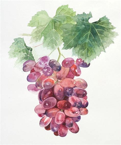 柘植彩子 水粉画作品欣赏 露西学画画