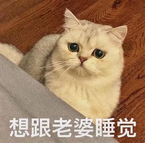 情侣之间可以发的色色表情包 知乎