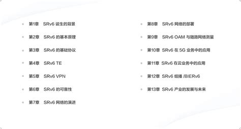 Srv6网络编程