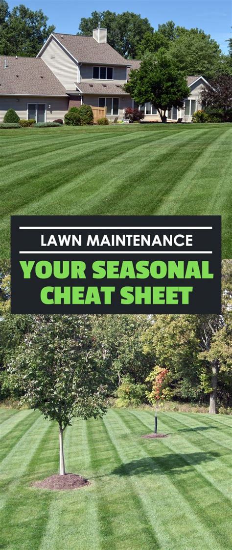 Year Round Lawn Care Your Seasonal Guide