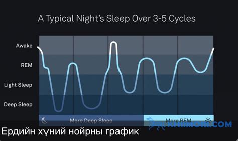 Нойрны үе шатууд Бид яагаад бүтэн нойроо авах хэрэгтэй вэ