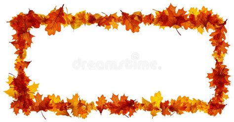 Autumn Maple And Oak Leaf Rectangle Frame Vector Stock Illustration