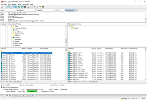 Files Not Transferring Into Htdocs Folder Hosting Support Infinityfree Forum