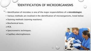 Recent Microbial Techniques Advancement In Identifying Cultivating