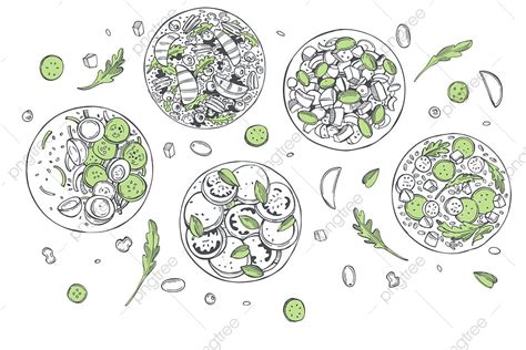 手繪沙拉套裝 進食 芝麻菜 賓語向量圖案素材免費下載，png，eps和ai素材下載 Pngtree