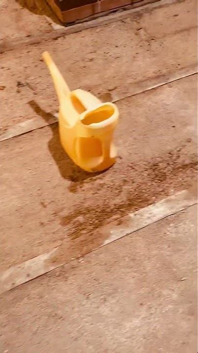 Утепление пола в деревянном доме опилками Youtube