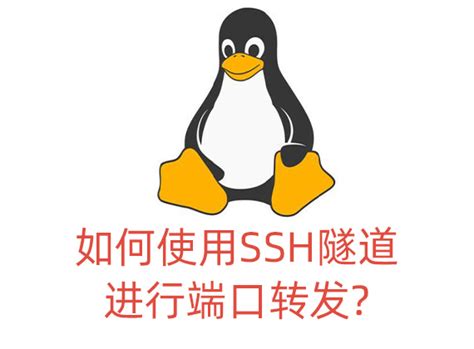 如何使用ssh隧道进行端口转发？ linux端口转发详细教程 雪花测评