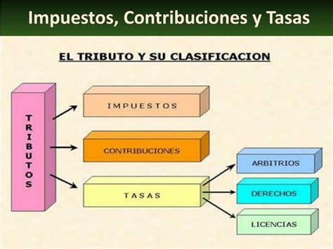 Diferencias Entre Impuestos Contribuciones Y Tasas My Xxx Hot Girl