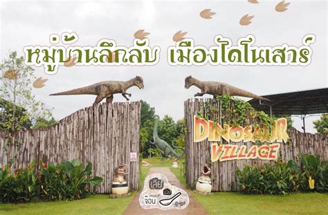 บัตรเข้าชมราคาสบายกระเป๋า ราคาเดียว เพียง 50฿ เท่านั้น ตั้งแต่ เดือน