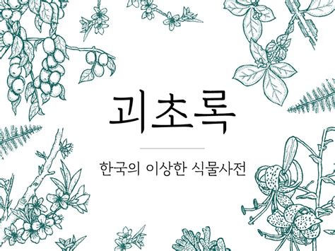 닷텍스트 고문헌 속 한국 판타지 식물과 묘약 레시피들 위시버킷