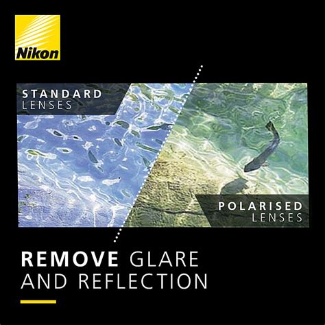 Polarised Sunglasses Explained Ace Eyewear