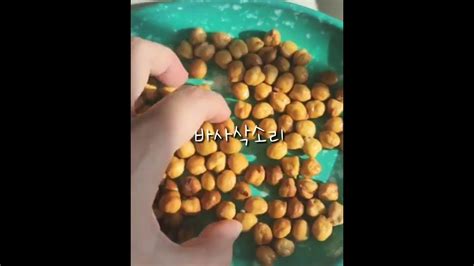 바삭바삭 병아리콩 강아지수제간식 병아리콩이 이렇게 맛있다고 Youtube
