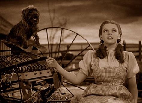 Somewhere Over The Rainbow Wizard Of Oz 1939 Wizard Of Oz Movies