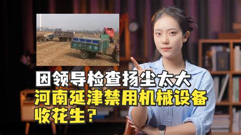 因领导检查扬尘太大河南延津禁用机械设备收花生即使被误解也该反思 凤凰网视频 凤凰网