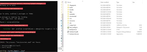 Teralauncher Advanced Game Launcher With Tauri Js Page Ragezone Mmo Development