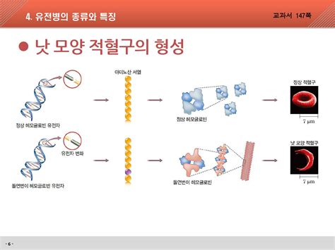 미래엔 엠티처