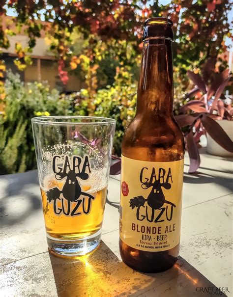 Blonde Ale Craft Beer Nomads