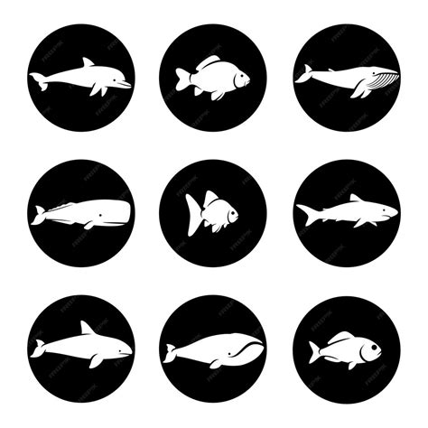 Conjunto De Peces Icono De Colección Vector De Peces Vector Premium