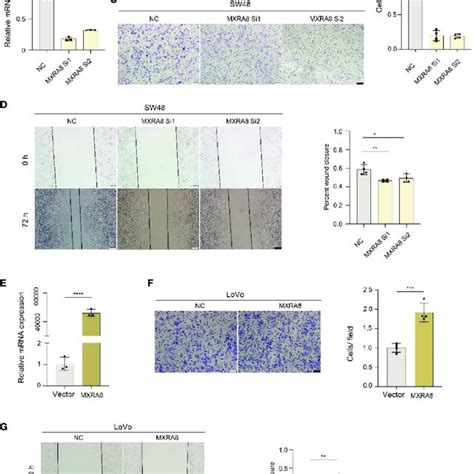 Biological Function And Pathway Annotation A Heatmap Of The Download Scientific Diagram