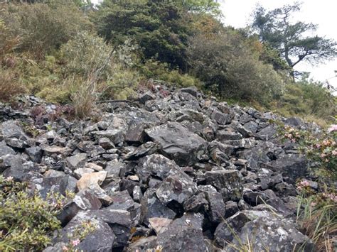 玉山前峰體驗石瀑攀爬為主峰單攻暖身 健行筆記