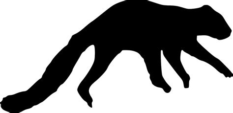 Adapis Pdm 1 0 Phylopic
