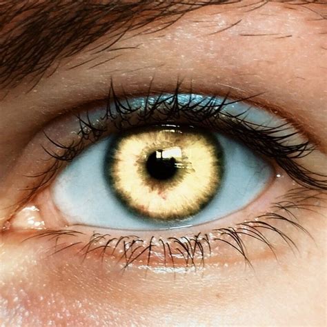 Pin By Karisa Raila On Oczy 1 Magic Eyes Golden Eyes Aesthetic Eyes