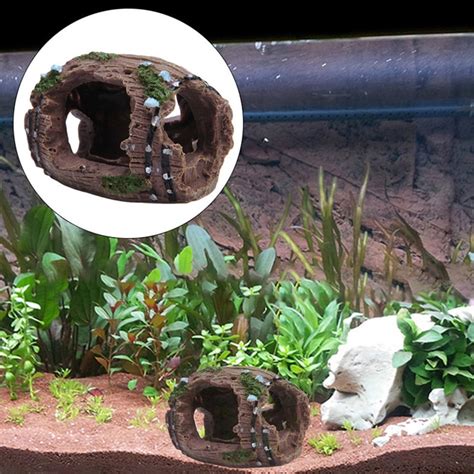 Black Algae Freshwater Aquarium Ph