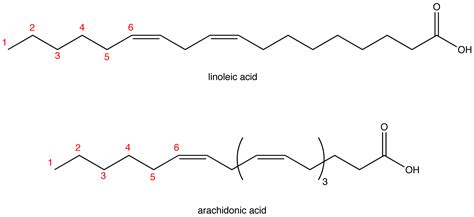 Omega 6 Fatty Acid Chemistry Libretexts