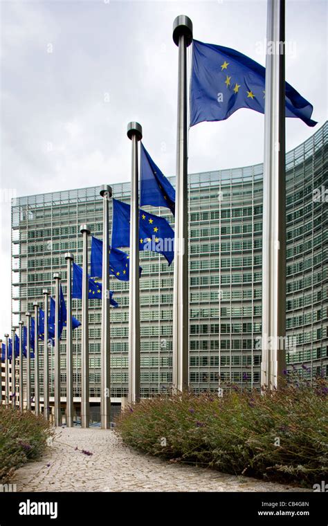 Eu Catalytic Converter Regulations A Complete Guide To Vehicle
