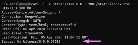 Nx Apache Vulnerability Network Optix