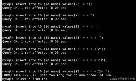 mysql——数据类型 mysql 数据类型 csdn博客