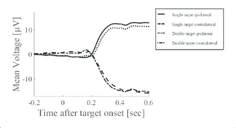 Example Of Electroencephalogram Eeg Responses In The Above Download Scientific Diagram