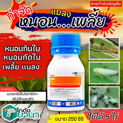 🌾 ริดอิท เมทอกซีฟีโนไซด์30 สไปนีโทแรม6 ขนาด 250ซีซี ใช้ป้องกันกำจัดหนอนห่อใบข้าวในนาข้าว