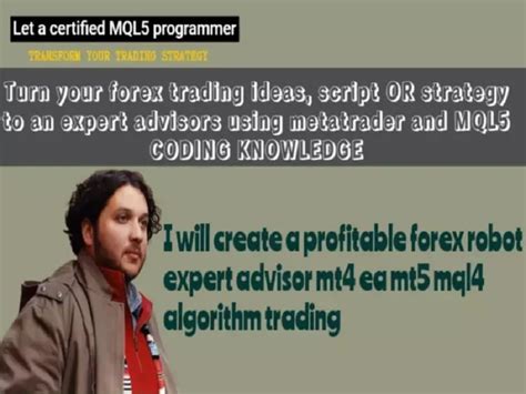 A Profitable Forex Trading Robot Using MetaTrader Mt4 Ea Upwork