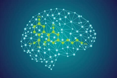 What Is The Endocannabinoid System What We Know Now Delta North