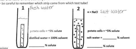 Potato Experiment Flashcards Quizlet