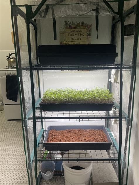 Kitchen Setup Rmicrogreens