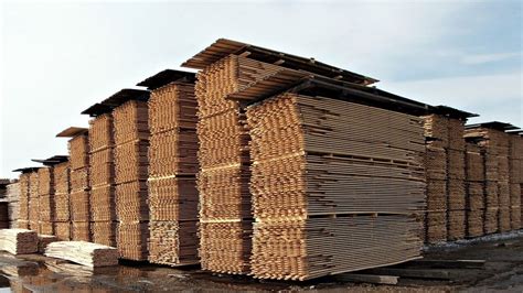 俄罗斯彼尔姆边疆区已对华出口林产品5万多立方米 2023年9月22日 俄罗斯卫星通讯社
