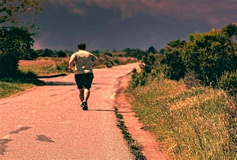 Why Walking Is The Best Form Of Exercise Little Tree Food Forest