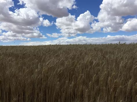 Usda Launches Interactive Census Of Ag Maps